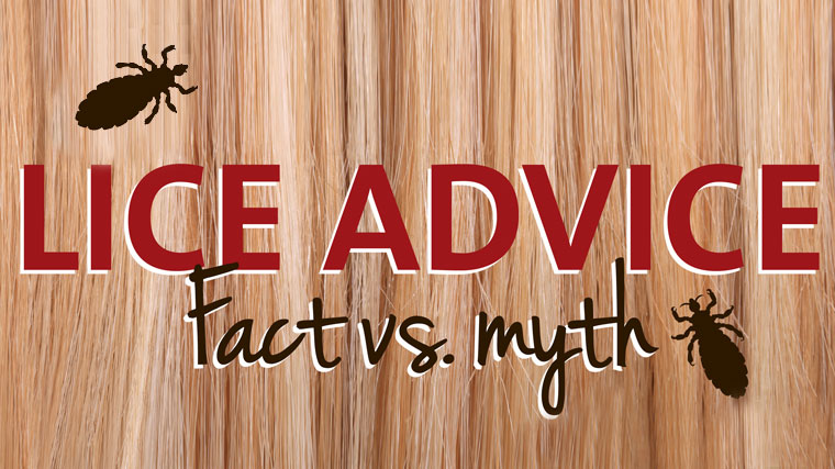 Head Lice - Fact vs. Myth | Premier Health